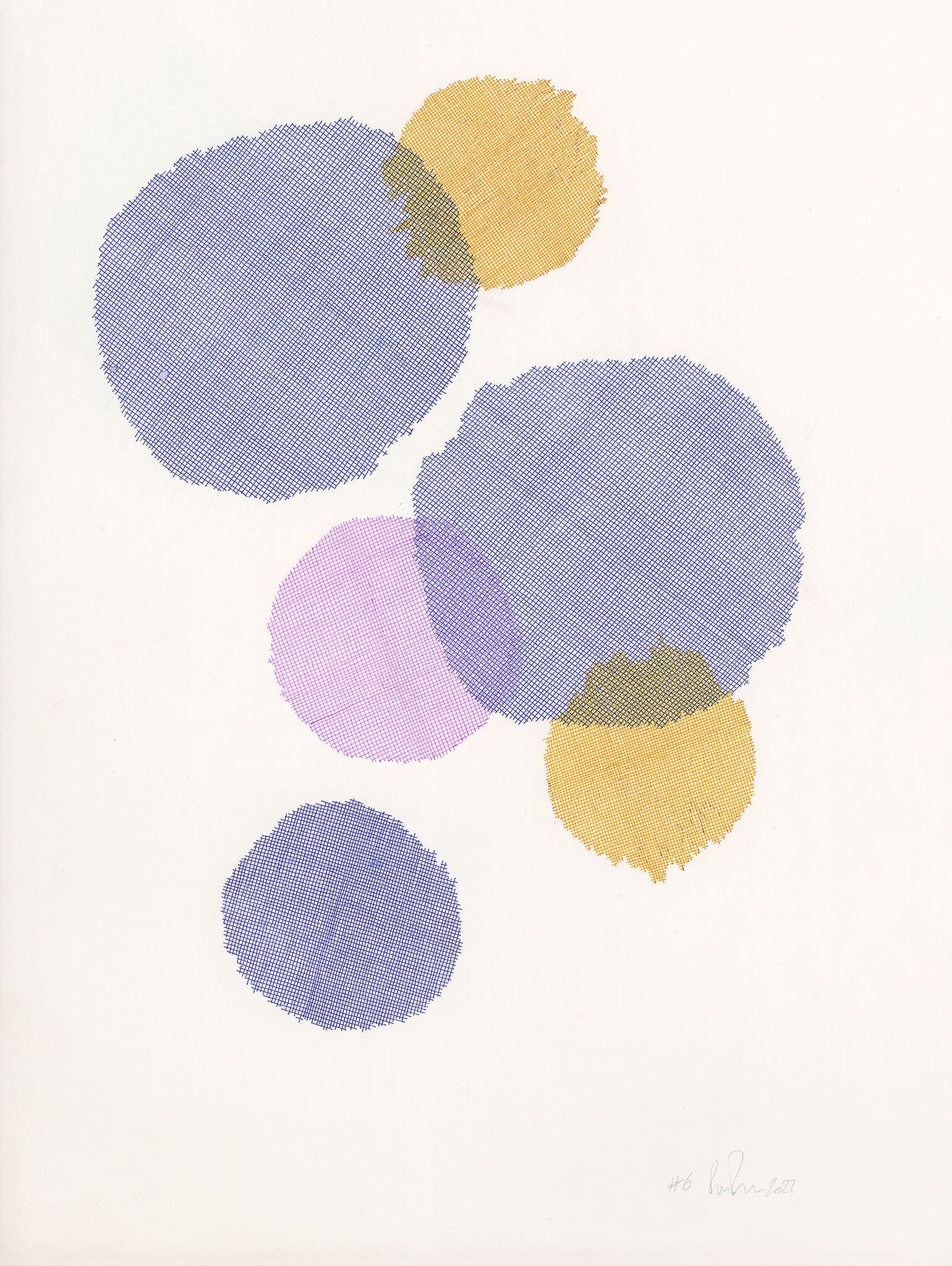 #6 - The Salt Spring National Art Prize