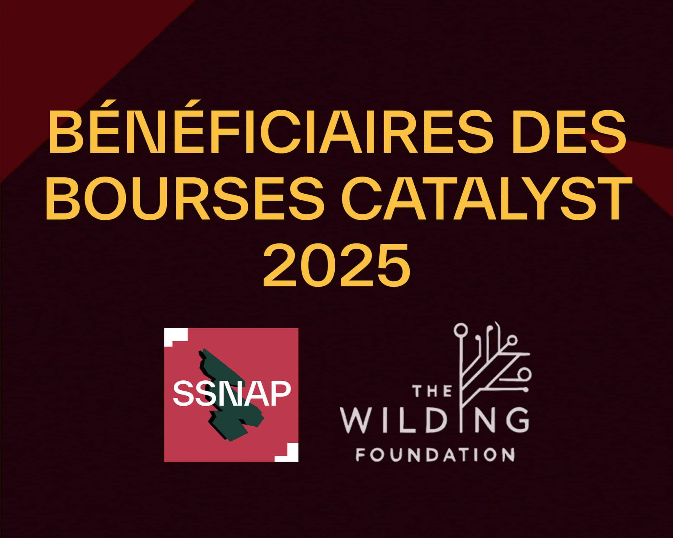 Félicitations aux bénéficiaires des bourses Catalyst 2025! - The Salt ...