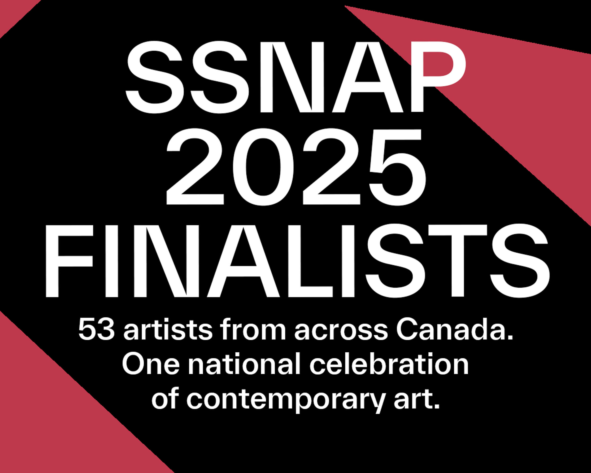 SSNAP 2025 Finalists - The Salt Spring National Art Prize