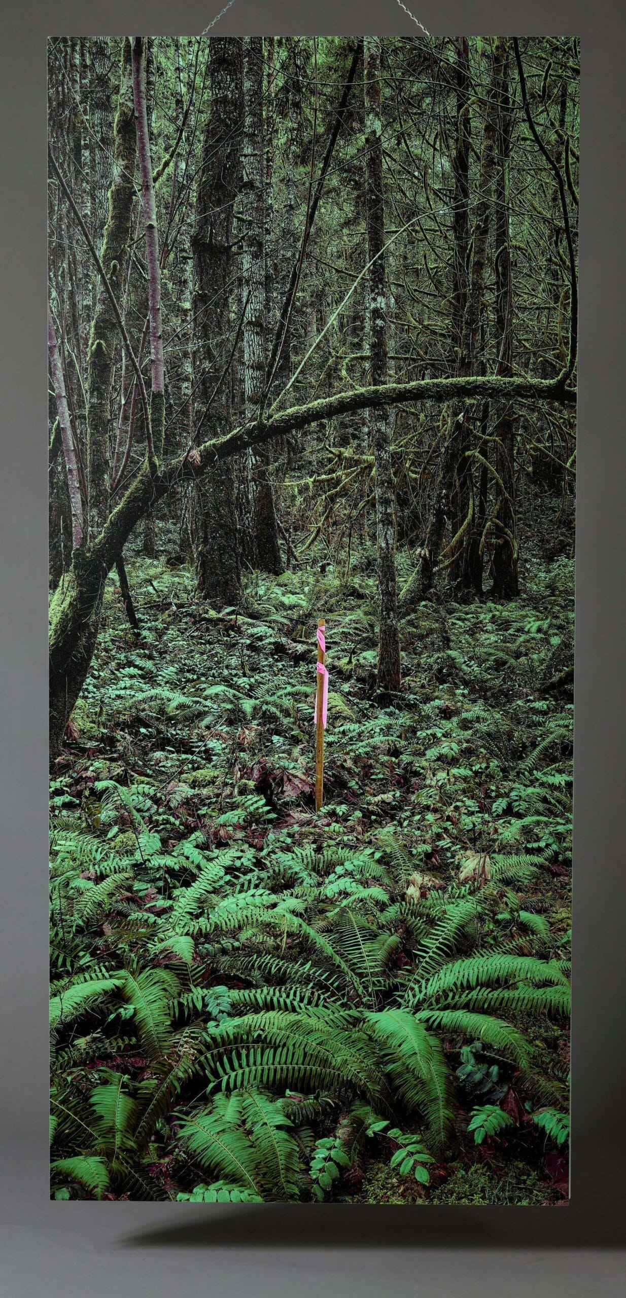 What Lies Beyond - The Salt Spring National Art Prize