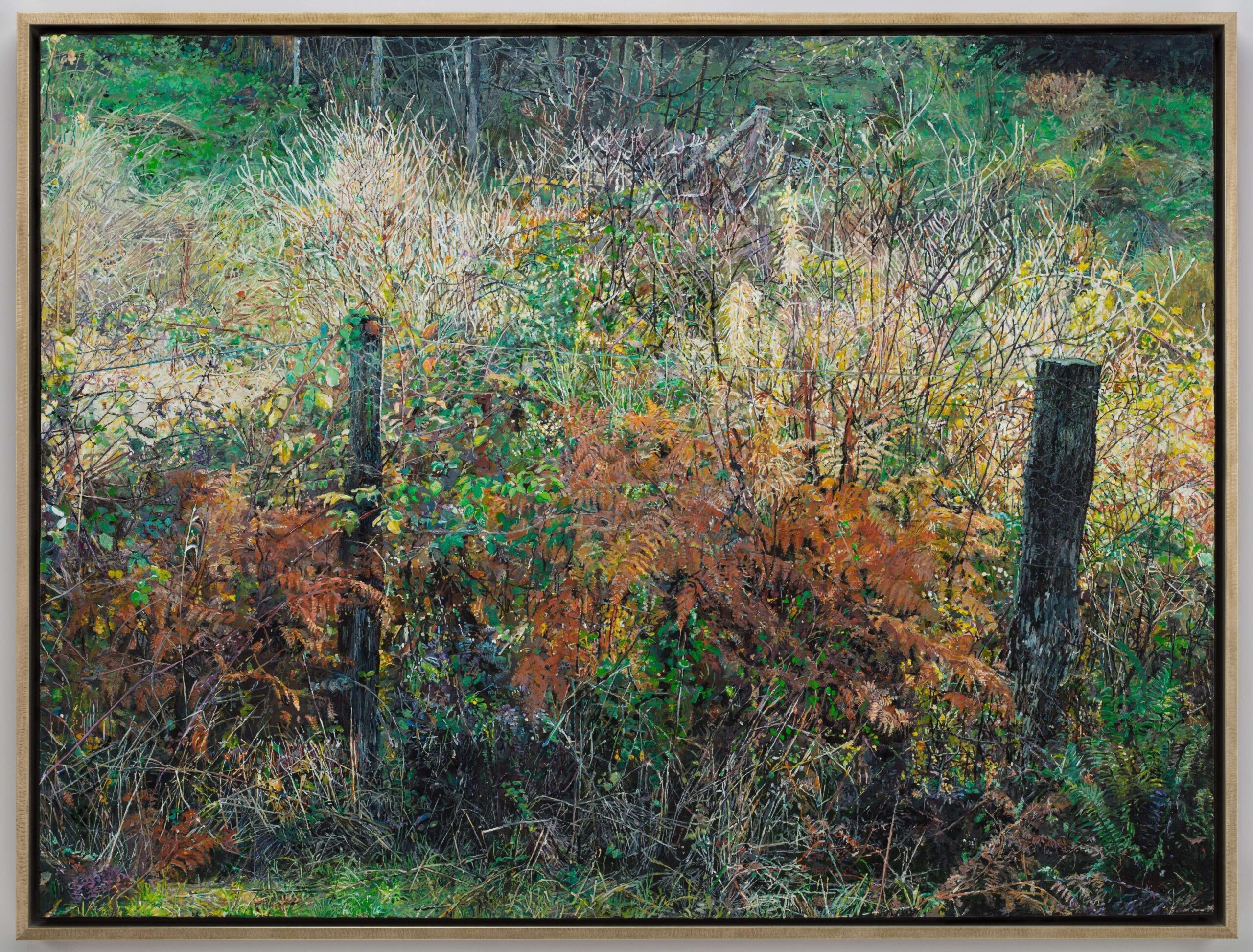 Overgrown Fenceline - The Salt Spring National Art Prize